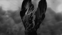 Raven GIFs - Get the best gif on GIFER