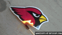 Cardinal GIFs - Get the best gif on GIFER