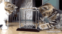 Impatient GIFs - Get the best gif on GIFER