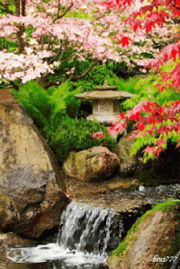Garden GIFs - Get the best gif on GIFER