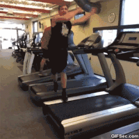 Gimnasio GIFs - Get the best gif on GIFER
