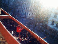 Balcony GIFs - Get the best gif on GIFER