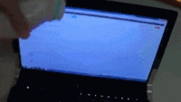 Staff GIFs - Get the best gif on GIFER