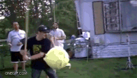 Pinata GIFs - Get the best gif on GIFER