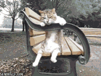 Sitting on a park bench GIFs - Obtenez le meilleur gif sur GIFER