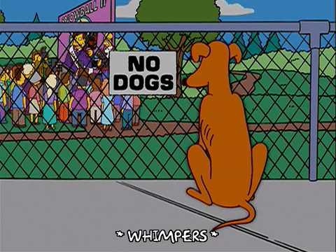 Santa little helper GIF - Conseguir el mejor gif en GIFER