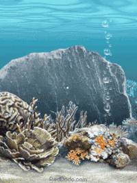 Coral GIFs - Get the best gif on GIFER