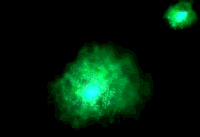 Collisions GIFs - Get the best gif on GIFER