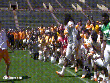 Southeastern GIF - Conseguir o melhor gif em GIFER