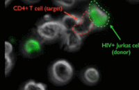 Hiv GIFs - Get the best gif on GIFER