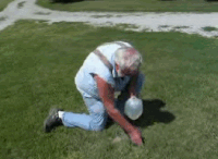 Gopher GIFs - Get the best gif on GIFER