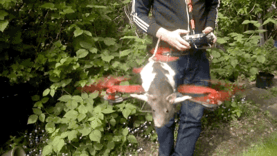 Ratcopter GIFs - Get the best gif on GIFER