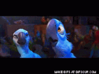 Rio GIF - Conseguir el mejor gif en GIFER
