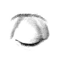 Anatomy GIFs - Get the best gif on GIFER