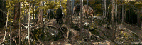 Ashes GIFs - Get the best gif on GIFER