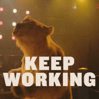 Watt GIFs - Get the best gif on GIFER