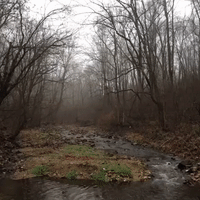 Vine GIFs - Get the best gif on GIFER