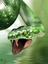 Snake GIFs - Get the best gif on GIFER