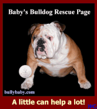 Sauvetage GIFs - Get the best gif on GIFER