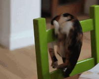 Gravitation GIFs - Get the best gif on GIFER