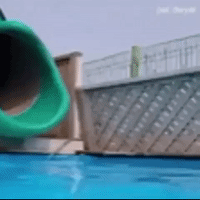 Photobook GIFs - Get the best gif on GIFER