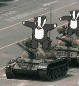 Overconfidence GIFs - Get the best gif on GIFER