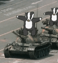 Overconfidence GIFs - Get the best gif on GIFER