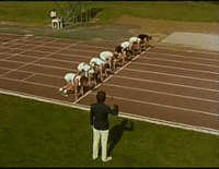 Python GIFs - Get the best gif on GIFER