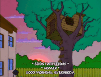 Casa GIFs - Get the best gif on GIFER