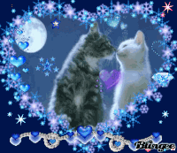 Blingee GIFs - Get the best gif on GIFER