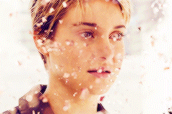 Shai and theo are the most beautiful people GIF - Conseguir o melhor ...