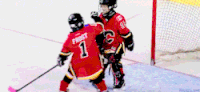 Calgary GIFs - Get the best gif on GIFER