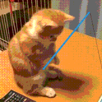 Praying GIFs - Get the best gif on GIFER