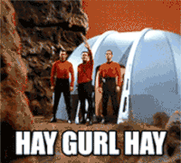 Hay GIFs - Get the best gif on GIFER
