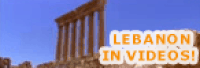 Lebanon GIFs - Get the best gif on GIFER