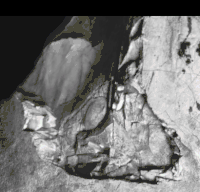 Unexplained GIFs - Get the best gif on GIFER