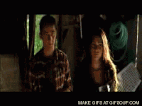 Bumblebee GIFs - Get the best gif on GIFER