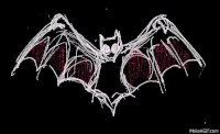 Bat GIFs - Get the best gif on GIFER