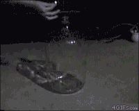 Flammable GIFs - Get the best gif on GIFER