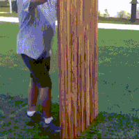 Ham GIFs - Get the best gif on GIFER