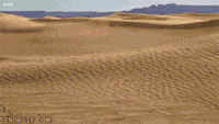 Sand GIFs - Get the best gif on GIFER