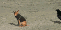 Strand GIFs - Get the best gif on GIFER