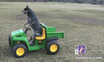 Toy riding mower GIF - Conseguir o melhor gif em GIFER
