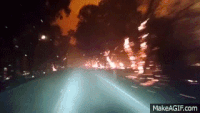 Wildfires GIFs - Get the best gif on GIFER