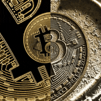 Bitcoin GIFs - Get the best gif on GIFER