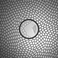 Tmp GIFs - Get the best gif on GIFER