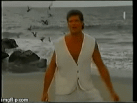 David hasselhoff GIFs - Obtenez le meilleur gif sur GIFER