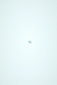 Expensive GIFs - Get the best gif on GIFER