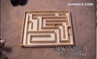 Mazes GIFs - Get the best gif on GIFER