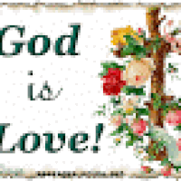 Sweetest GIFs - Get the best gif on GIFER